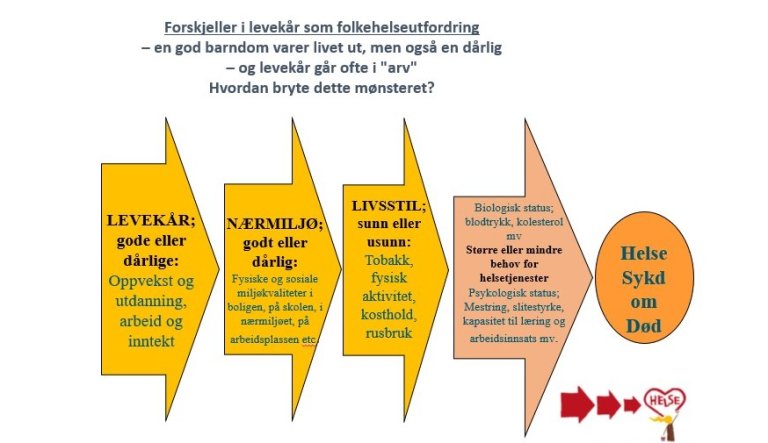 Oversikt over helsetilstanden og påvirkningsfaktorer i kommunen - Helsedirektoratet